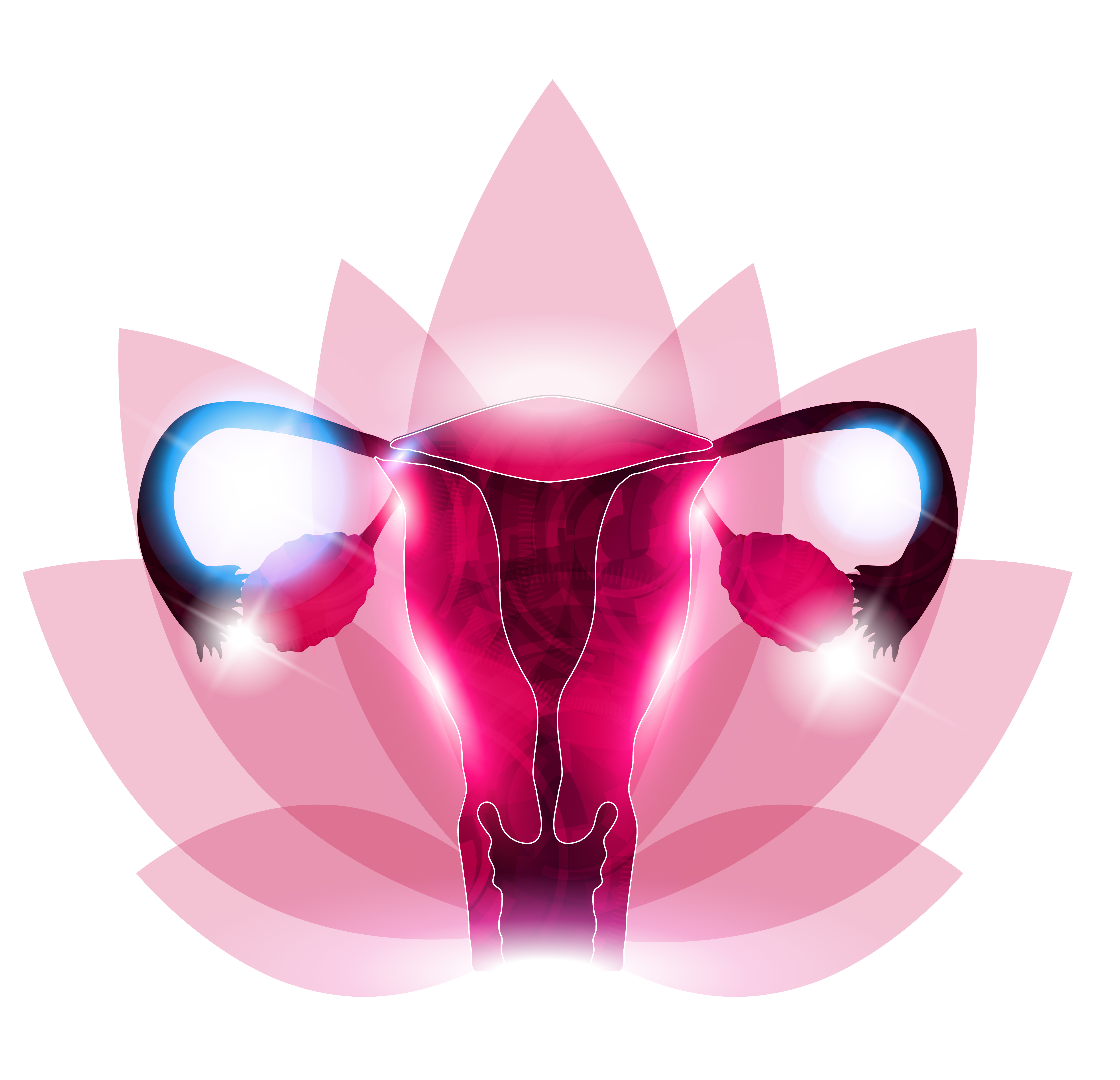 Polycystic Ovary Syndrome Polycystic Ovary Syndrome