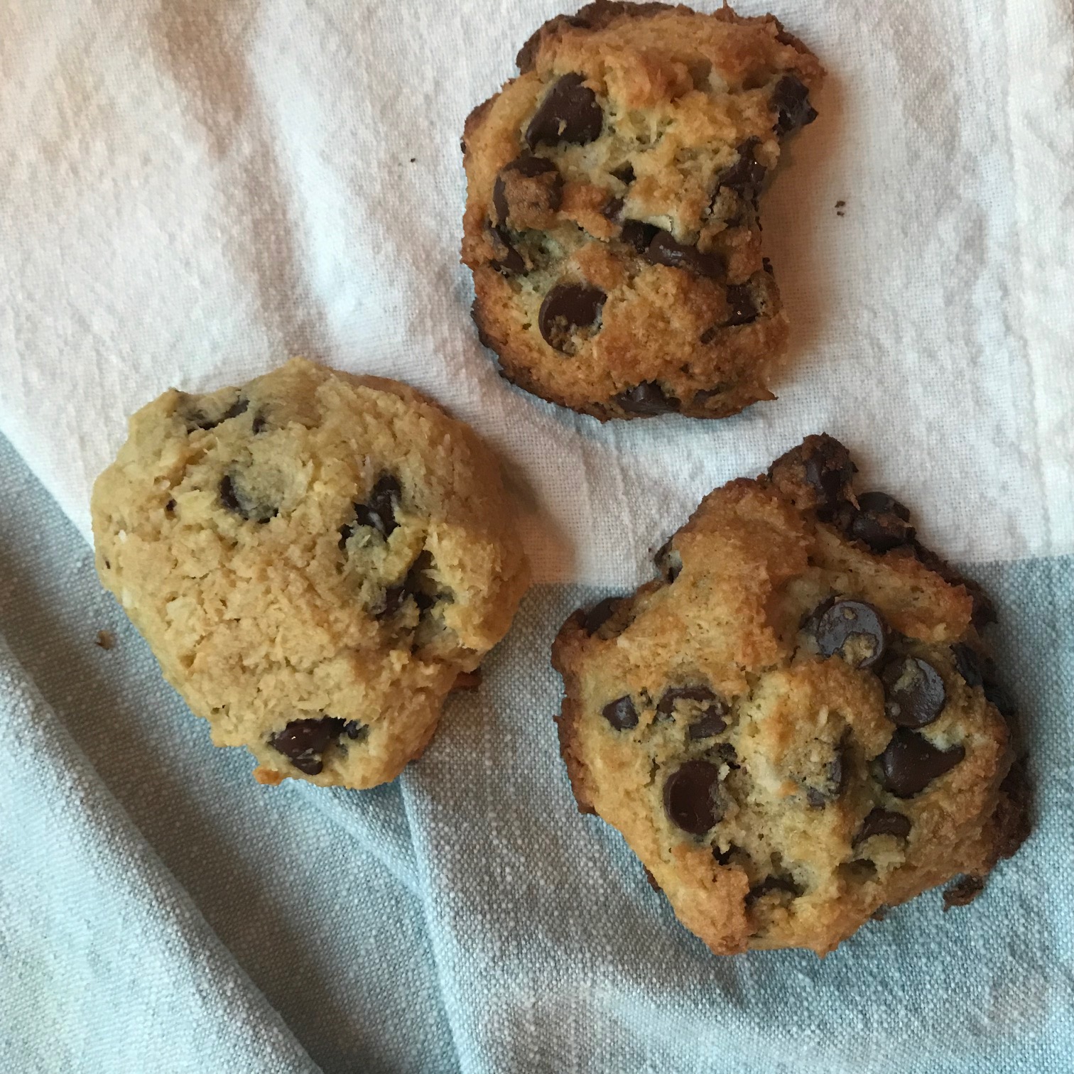 Chewy Chocolate Chip Coconut Cookies (Paleo) - Aviva Romm MD