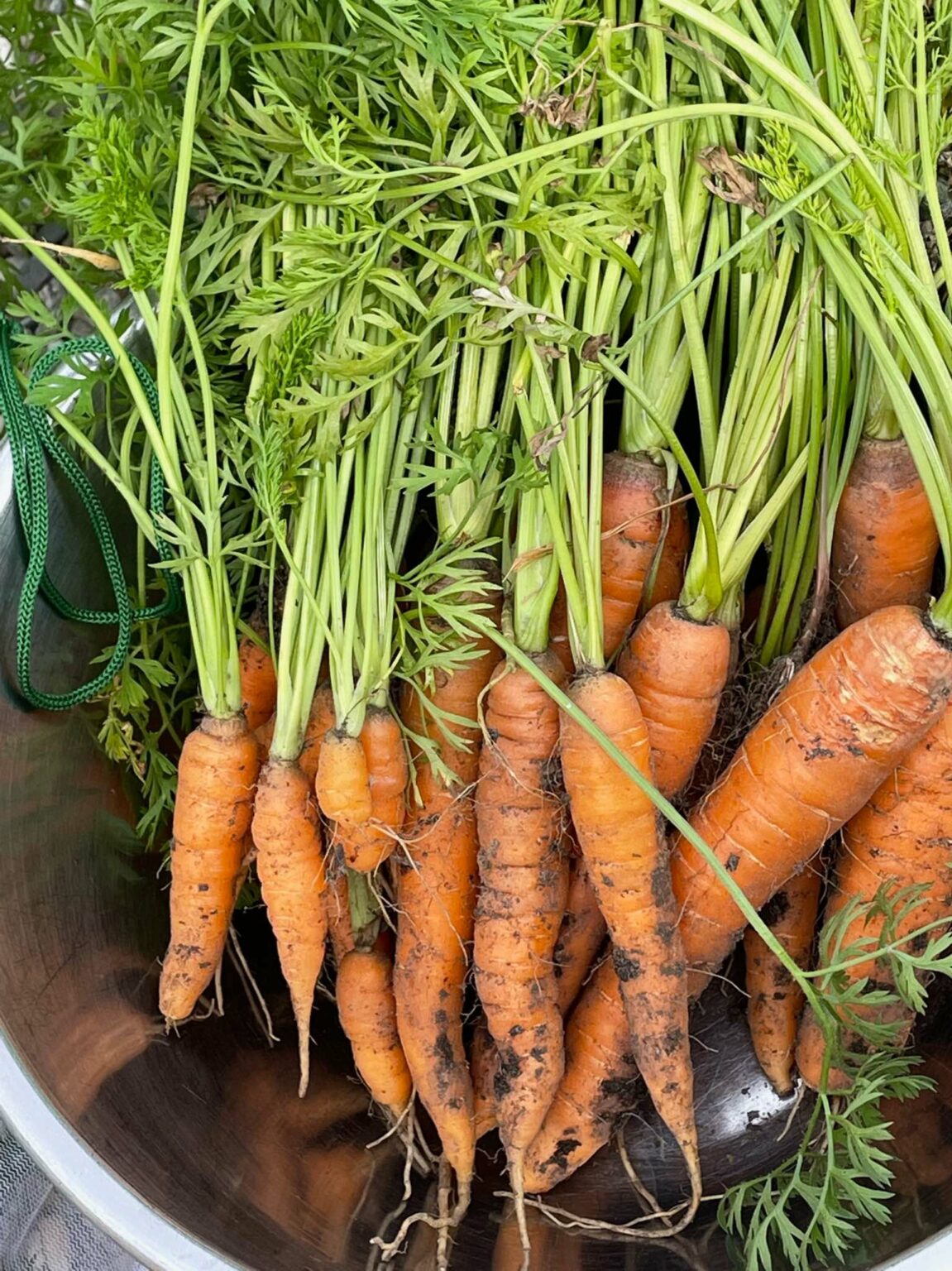 Sautéed Orange Ginger Carrots - Aviva Romm, MD